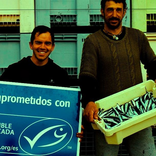MSC: pescado con sello azul por un mar vivo | La Revista Triodos ...